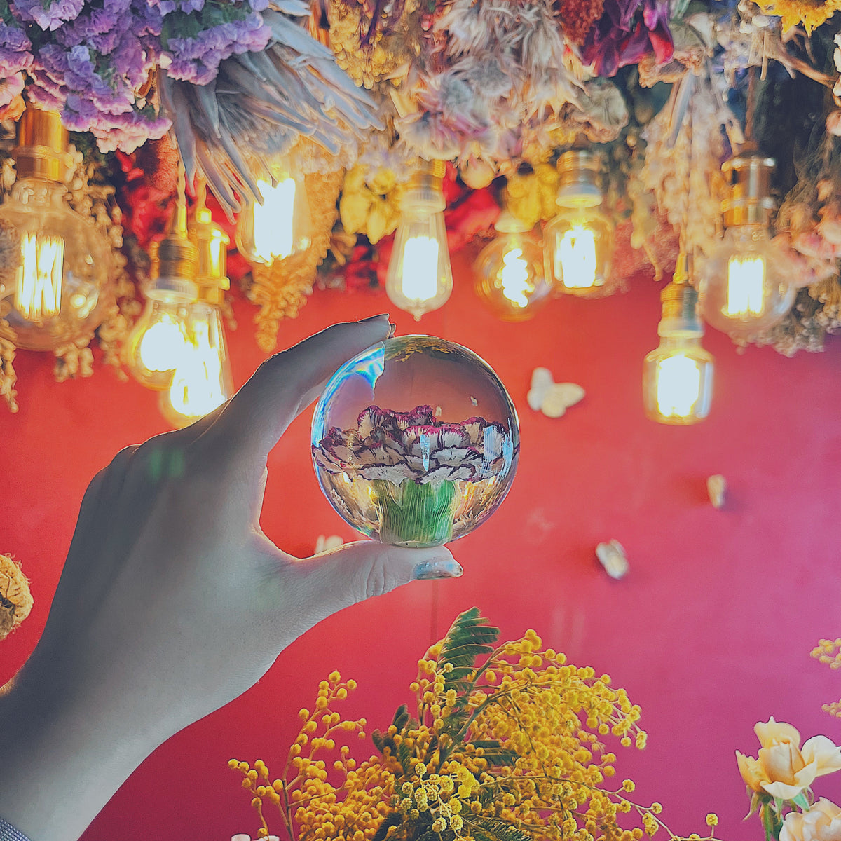 Carnation Object / milky violet – パコスフラワー